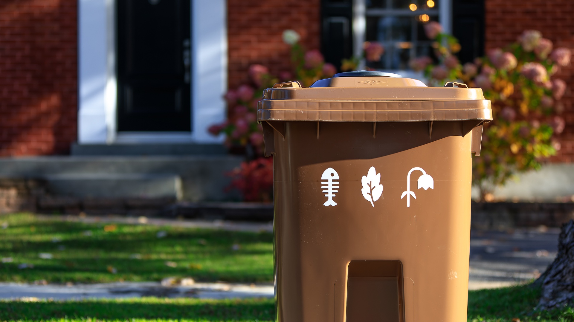 Towards the Reduction and Valorization of Residual Materials in Trois ...