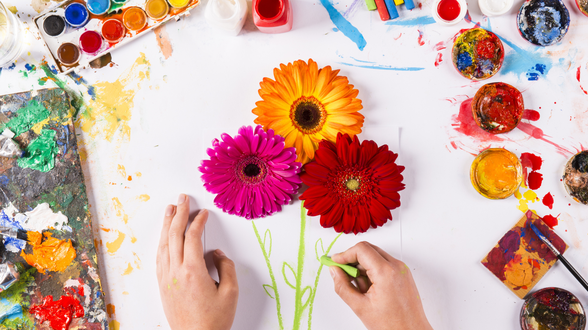 How to Tame Eco-Anxiety with Serenity » Blog et nouvelles » Earth Day ...